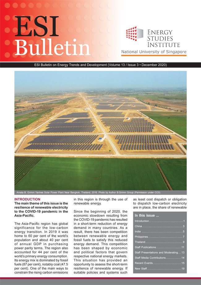 Energy Studies Institute