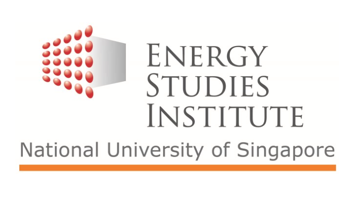 Energy Studies Institute